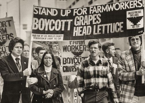 Advocacy | The WFMT Studs Terkel Radio Archive | A Living Celebration